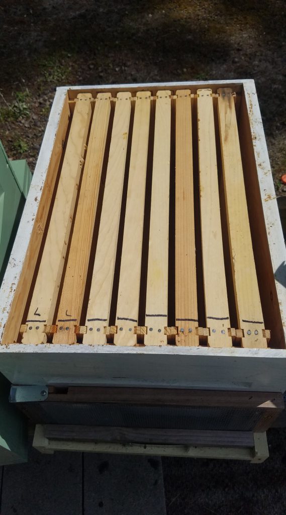 How to Inspect a Hive | Bee Culture