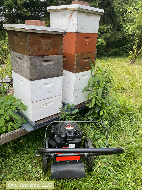 The Quiet Evolution of Apiary Mowing | Bee Culture