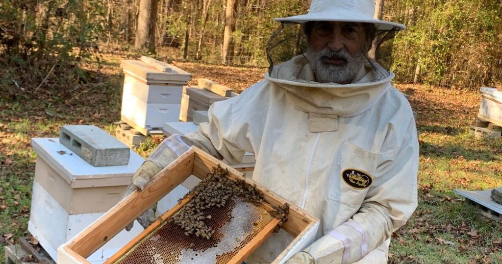 More Articles | Bee Culture