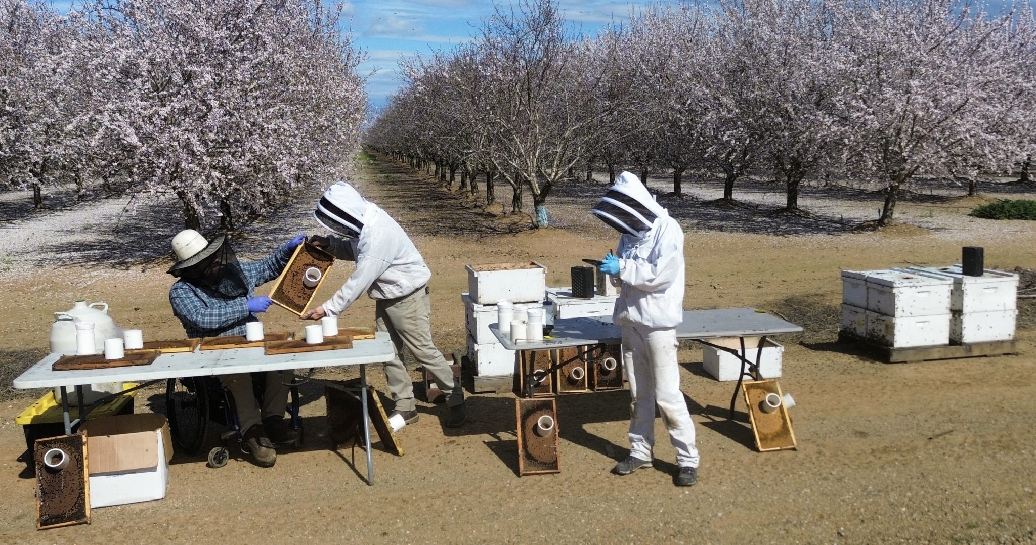 More Articles | Bee Culture