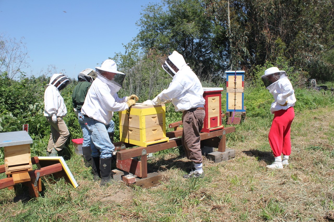 Selecting Land for Your Bee Colonies | Bee Culture