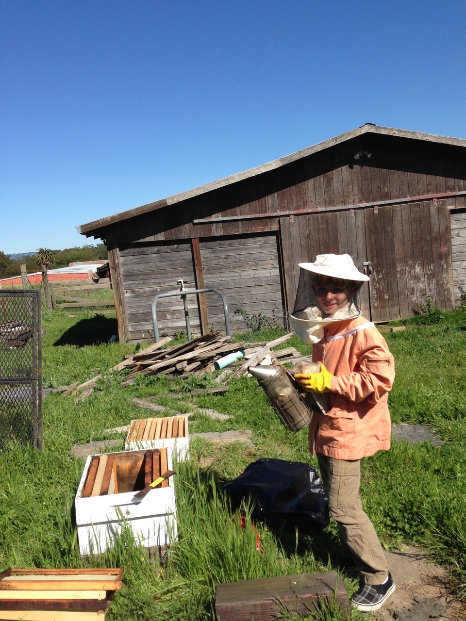 Selecting Land for Your Bee Colonies | Bee Culture