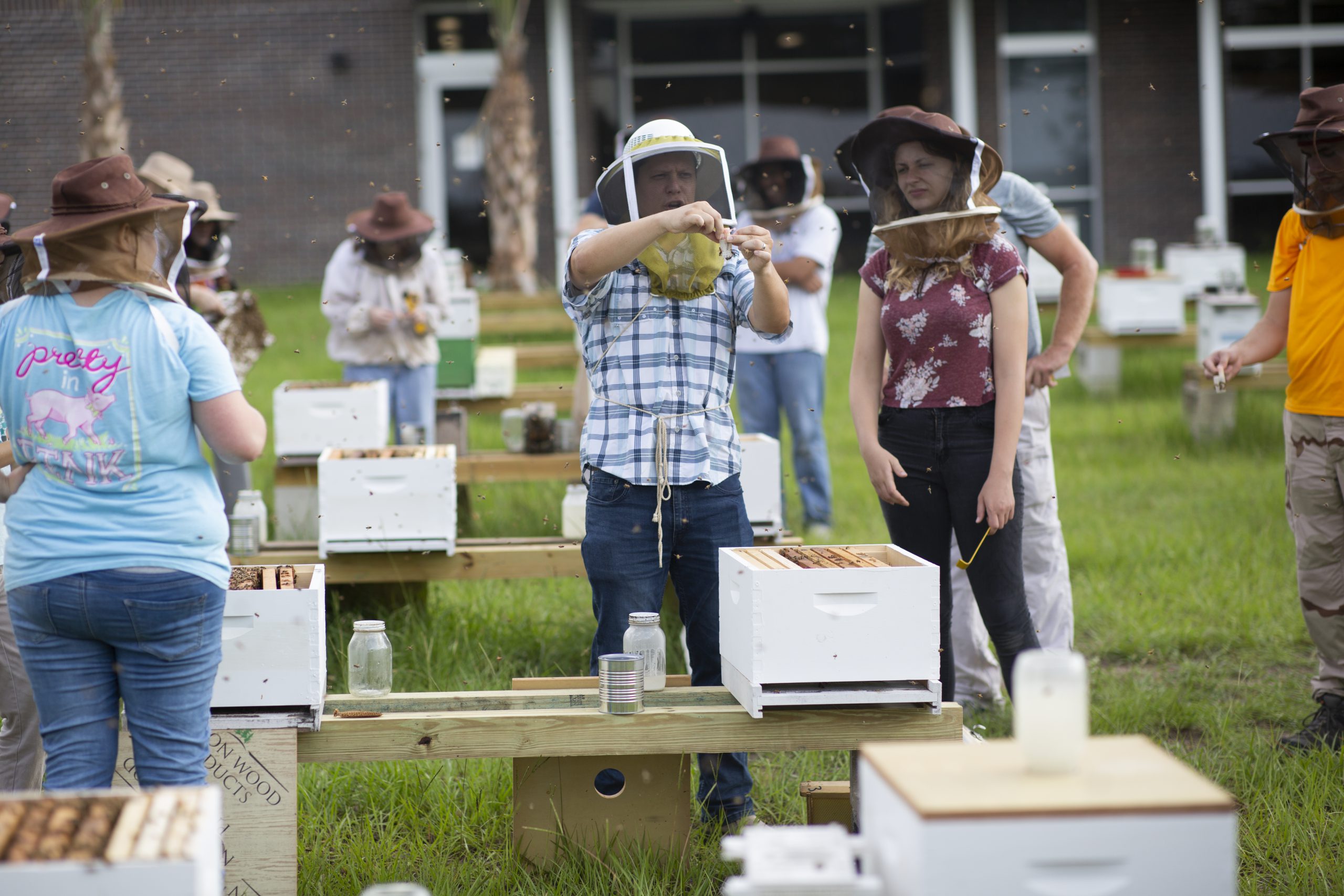 The University of Florida Honey Bee/Beekeeping Teaching Programs | Bee Culture