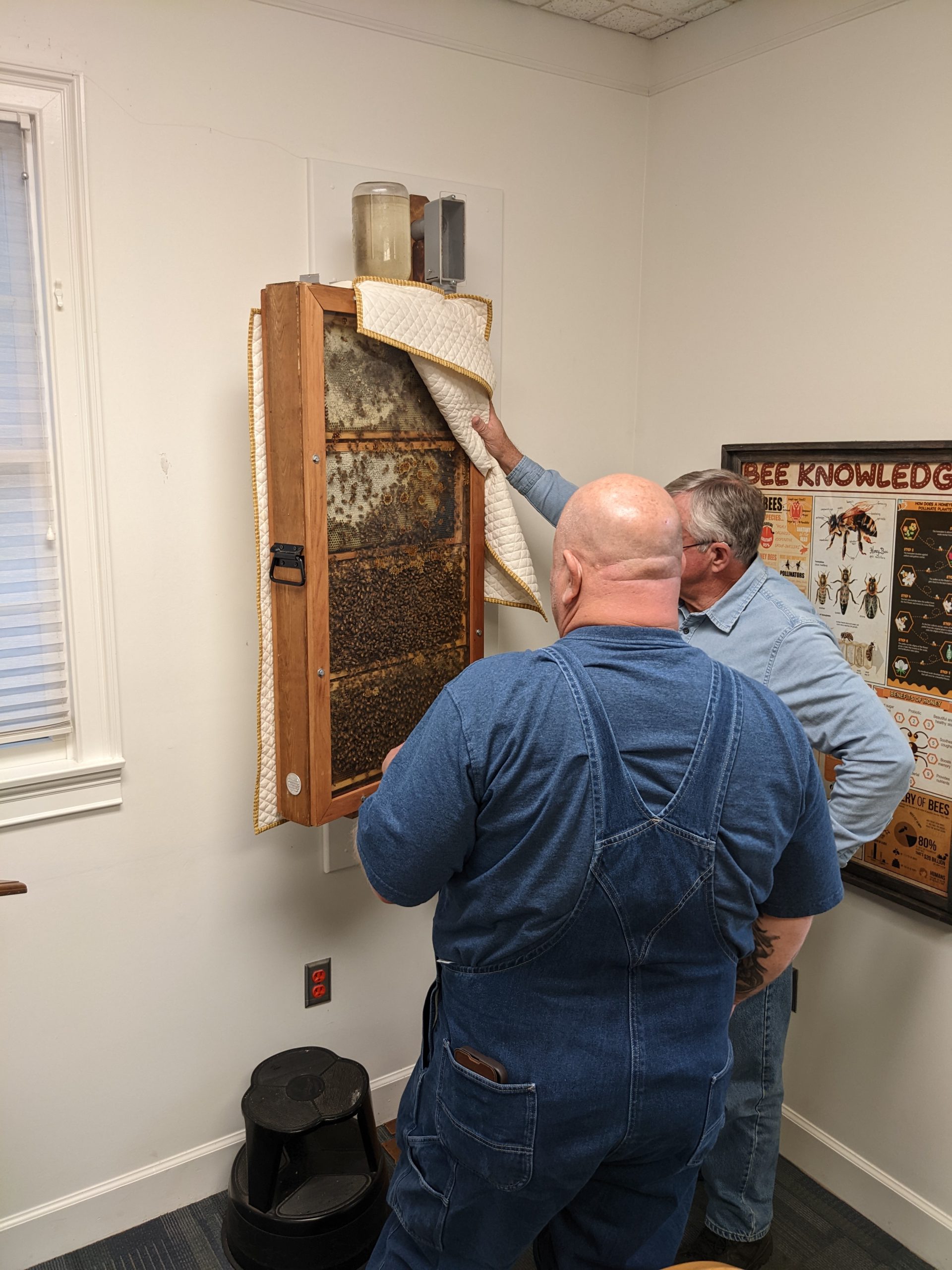 Home Observation Hives | Bee Culture