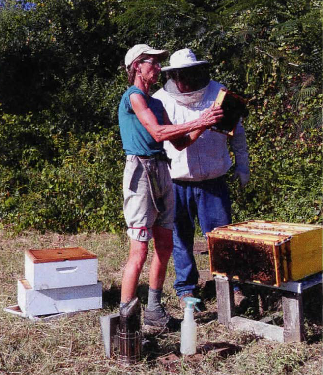 Keeping Bees: The Ultimate Co-op | Bee Culture