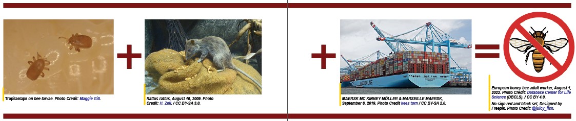 Bee Culture