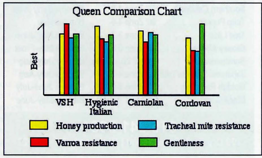 Requeening | Bee Culture