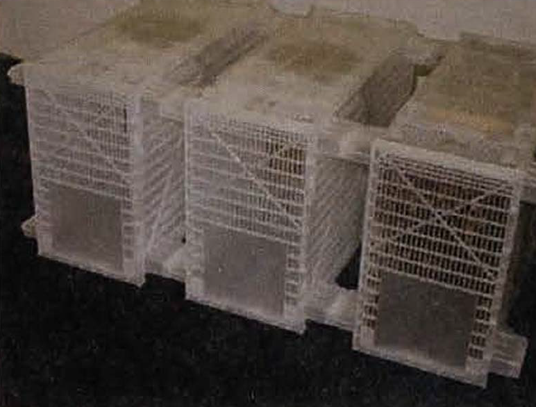 Honey Bee Packages | Bee Culture