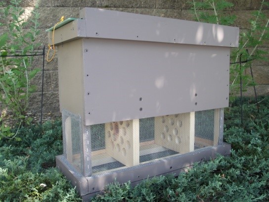 Build A Swarm Box | Bee Culture