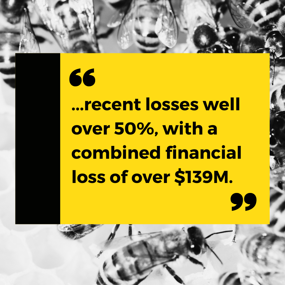 Severe and Sudden Losses of Managed Honey Bees Across the Nation | Bee ...