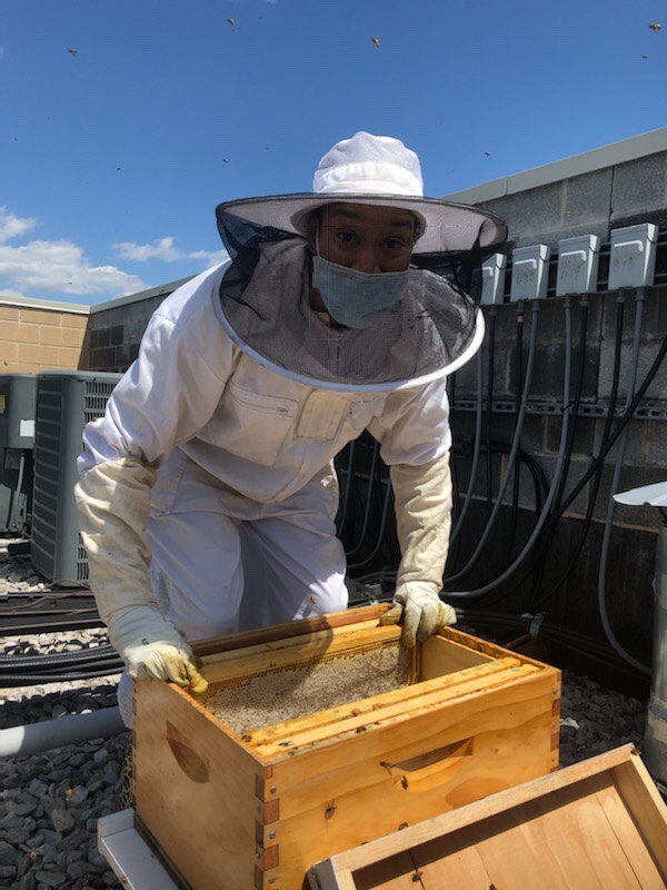 Cafini Z | Bee Culture