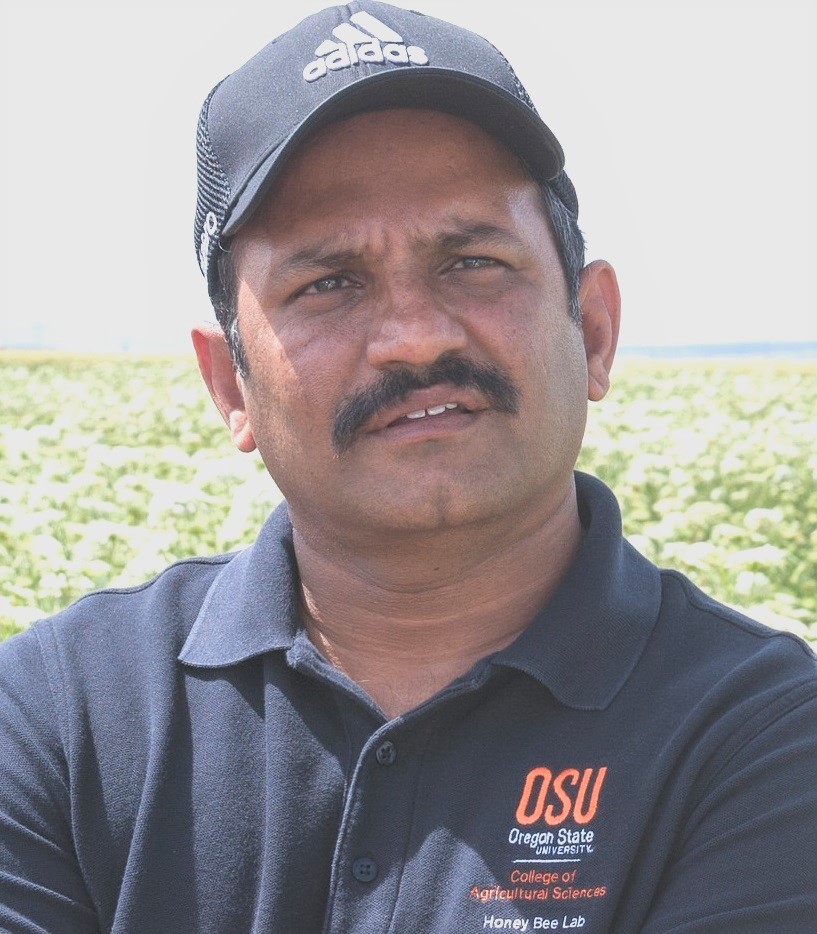 The Doctor is In | Bee Culture