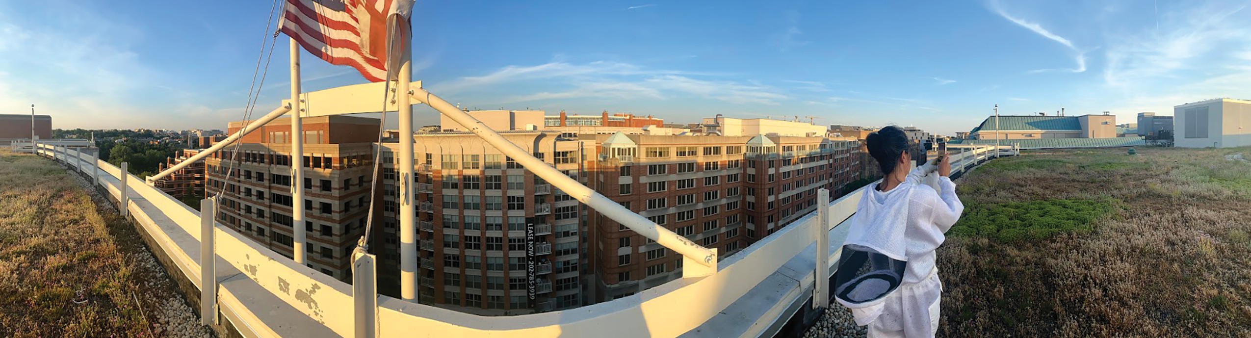 Rooftop Beekeeping-Should You Try It? | Bee Culture